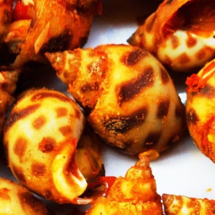 Snails & Shellfish: A Guide – Vietnam Coracle – Independent Travel ...