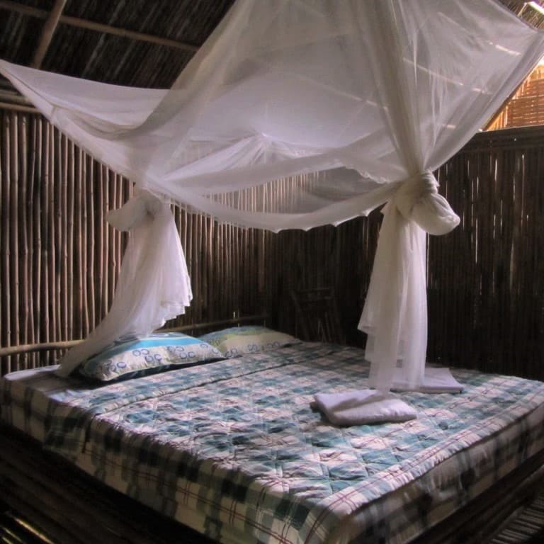 Cat Tien National Park: Where to Stay – Vietnam Coracle – Independent ...